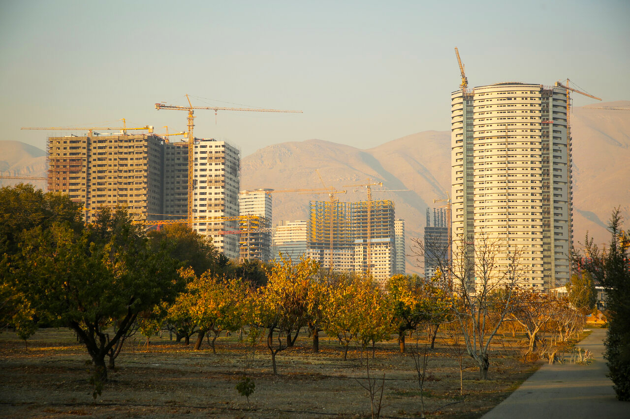 ۶. شما به دیگر حرفه‌ای‌های ماهر دسترسی خواهید داشت